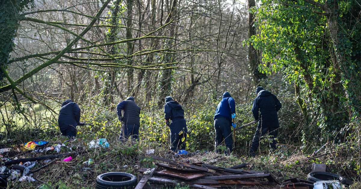 Murder probe expected to be launched following discovery of skeletal ...
