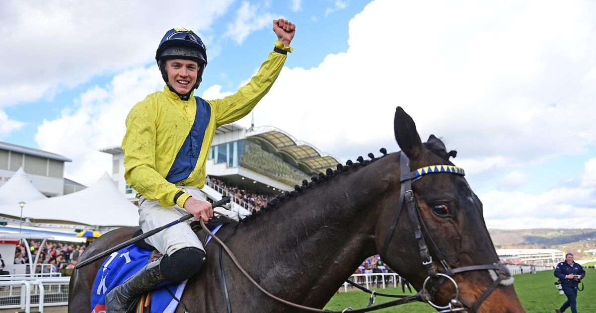 Cork jockey Michael O'Sullivan and Marine Nationale ready for Arkle test