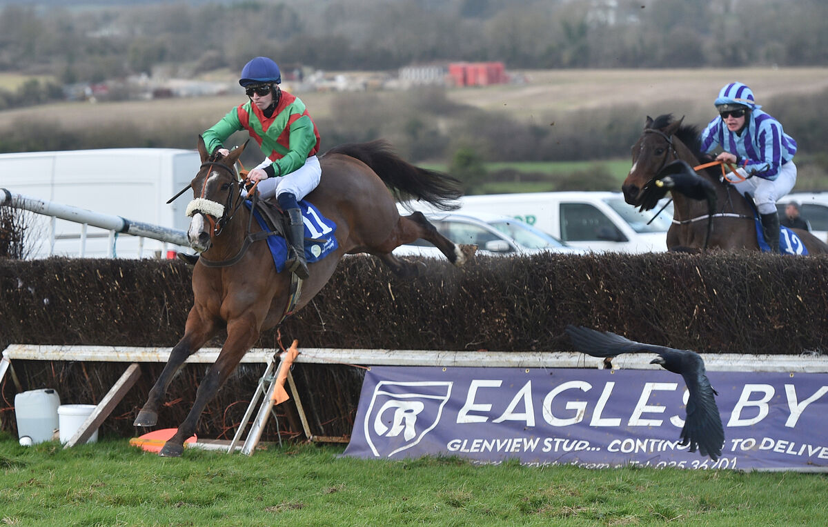 Red Letter Day for Adrian Browne who rides his first winner at ...