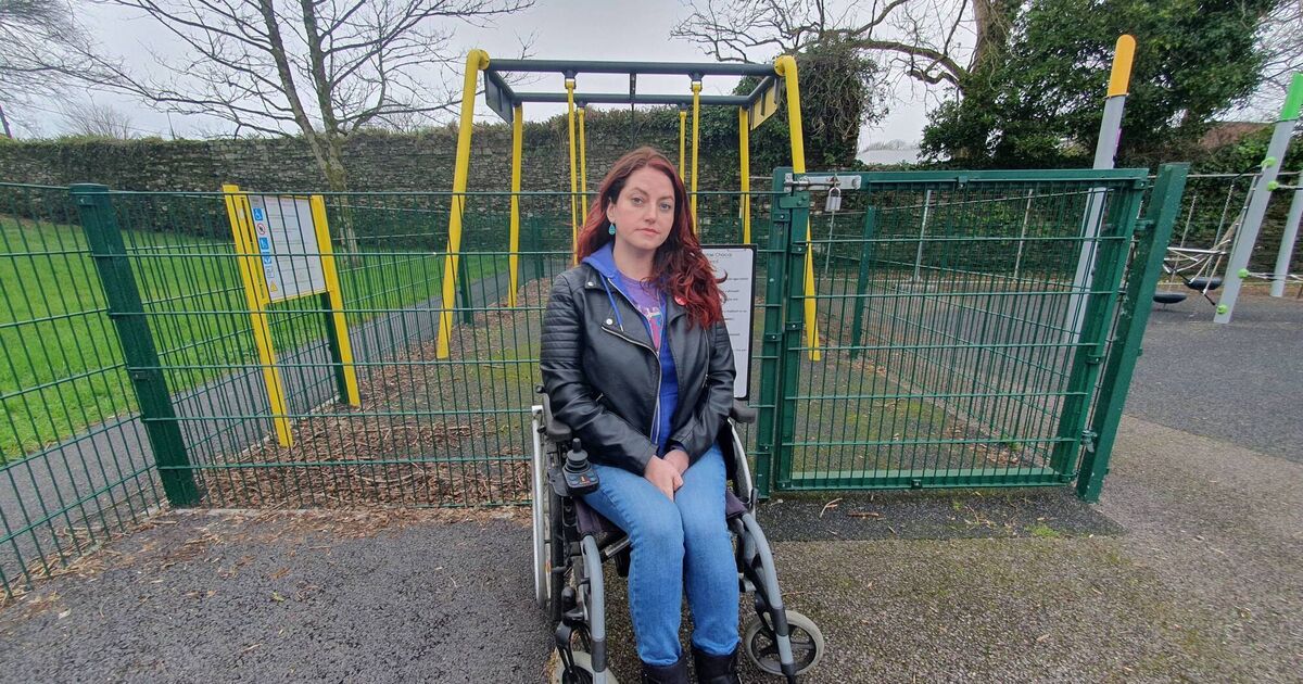 'It comes at a cost': Concern over access to wheelchair swing in Cork ...