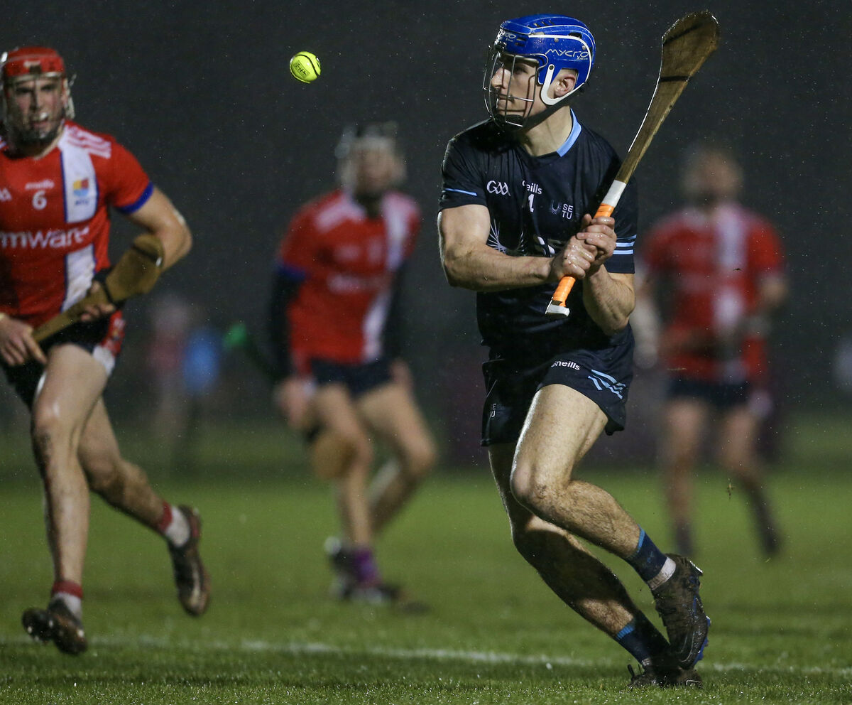 Fitzgibbon Cup semi-finals: Three colleges with Cork representation