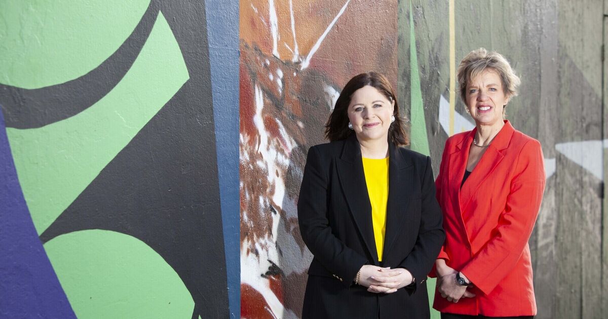 'Honoured and proud': Labour Party select candidate for EU elections at ...