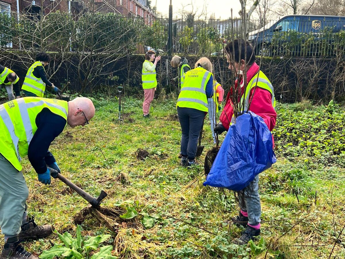 Tidy Towns volunteers dig in for biodiversity in Douglas