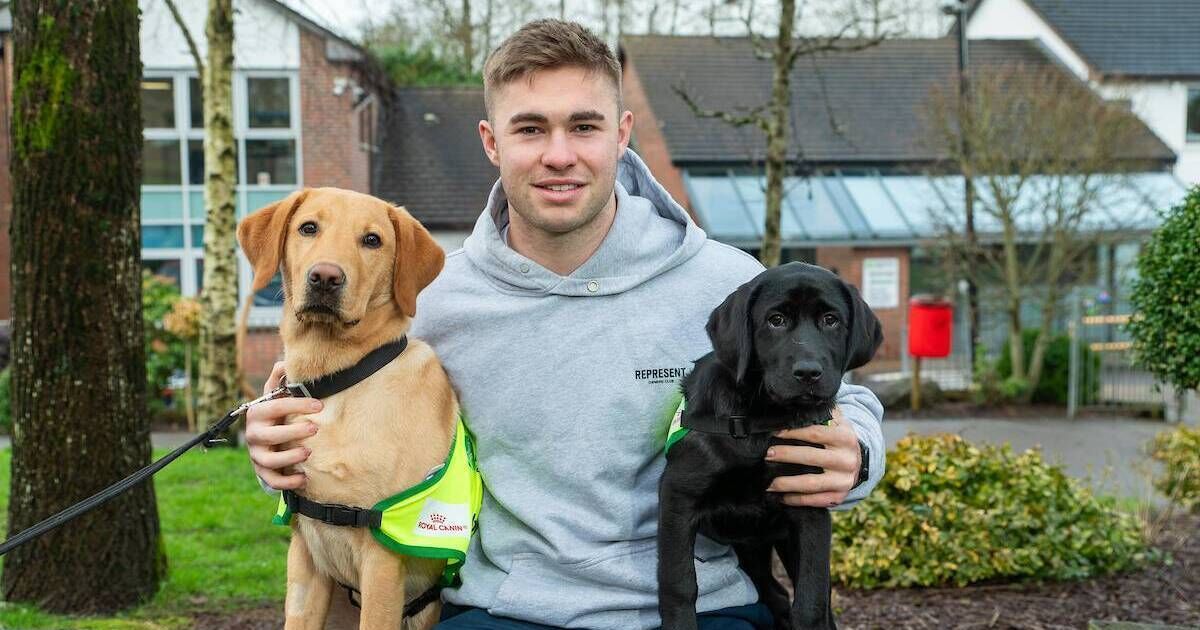Cork's Jack Crowley appeals for volunteer families to raise a puppy