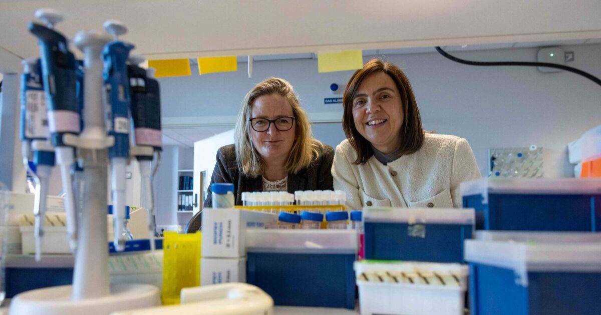 Funding will help team of researchers led by UCC scientist to battle ...