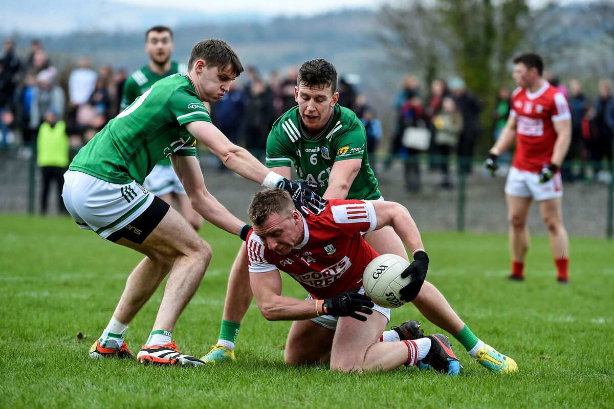 Huge win for Cork footballers as Maurice Shanley grabs late, late goal ...