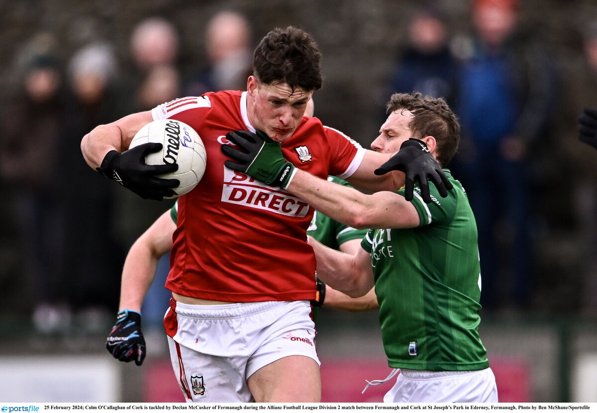 Huge win for Cork footballers as Maurice Shanley grabs late, late goal ...
