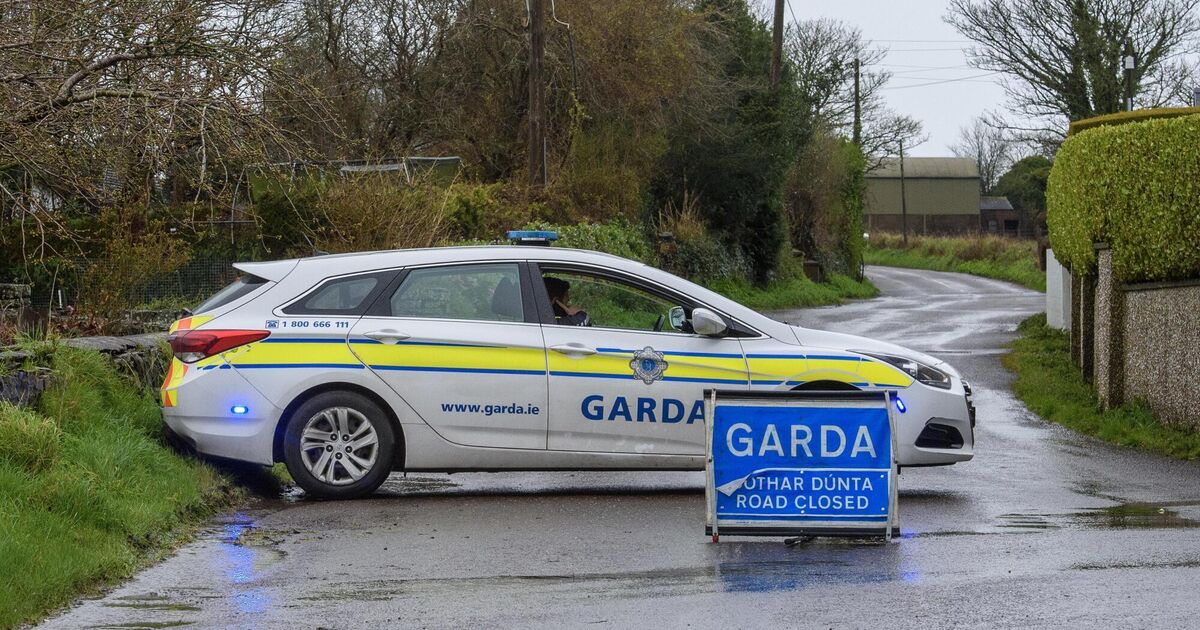 Cork motorist, 20s, killed and two passengers taken to hospital after ...
