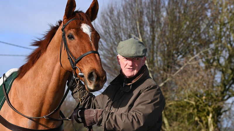 Cork owned horse State Man is the new Champion Hurdle favourite after ...