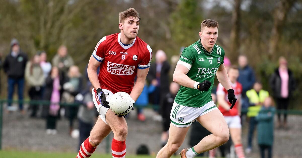 Cork v Kildare: Building momentum the aim for footballers