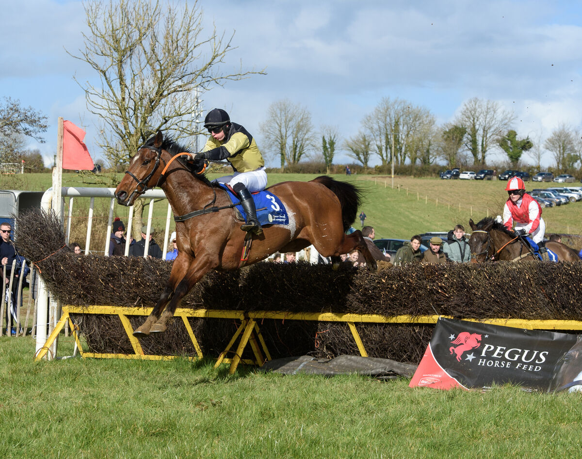 Great day for Jimmy Mangan at the Bandon Point to Point meeting at ...