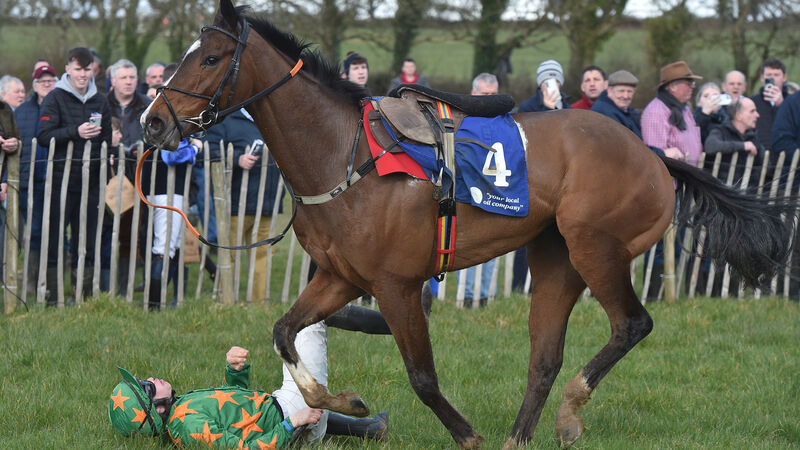 Great day for Jimmy Mangan at the Bandon Point to Point meeting at ...