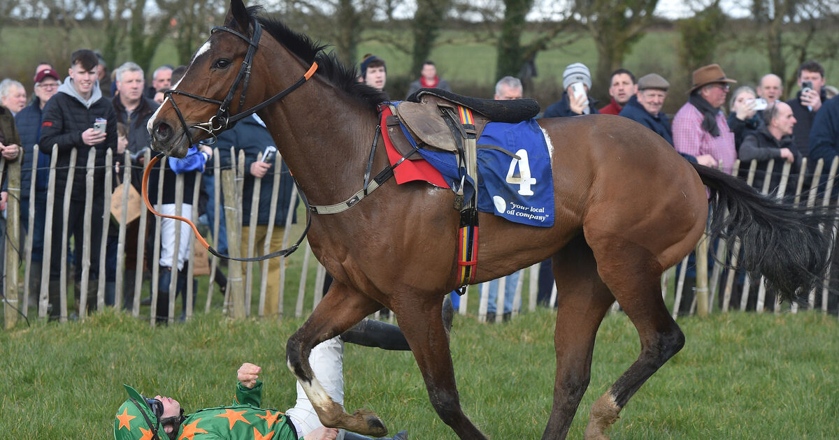 Great day for Jimmy Mangan at the Bandon Point to Point meeting at ...