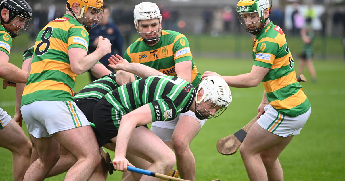 Alan Cadogan stars for Douglas in hurling league opener against Blackrock