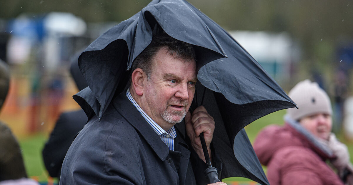 Jockey Darragh Allen gets an ideal boost ahead of his mount aboard ...