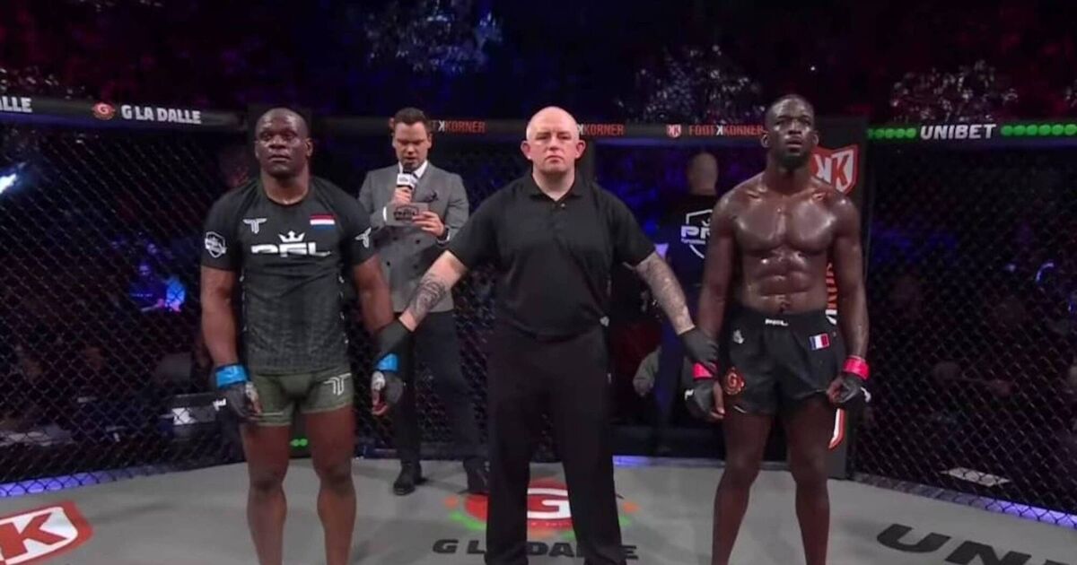 Cork's Derek Hickey continues to make a mark at the top level of MMA