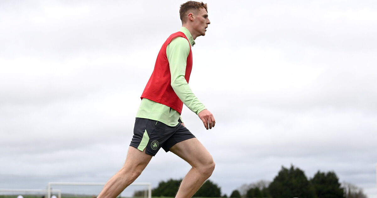 Jake O'Brien will get his chance against Belgium and Switzerland