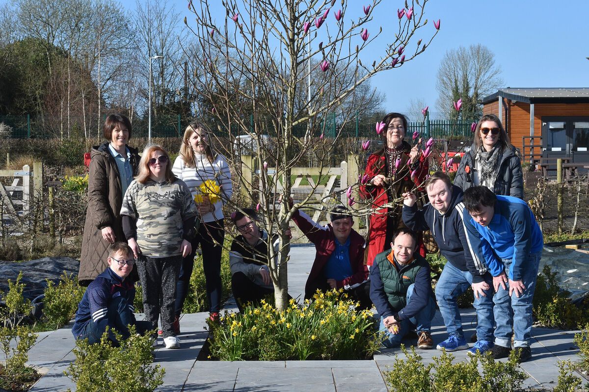 Cork's Field of Dreams gives chance to learn cultivation and culinary ...