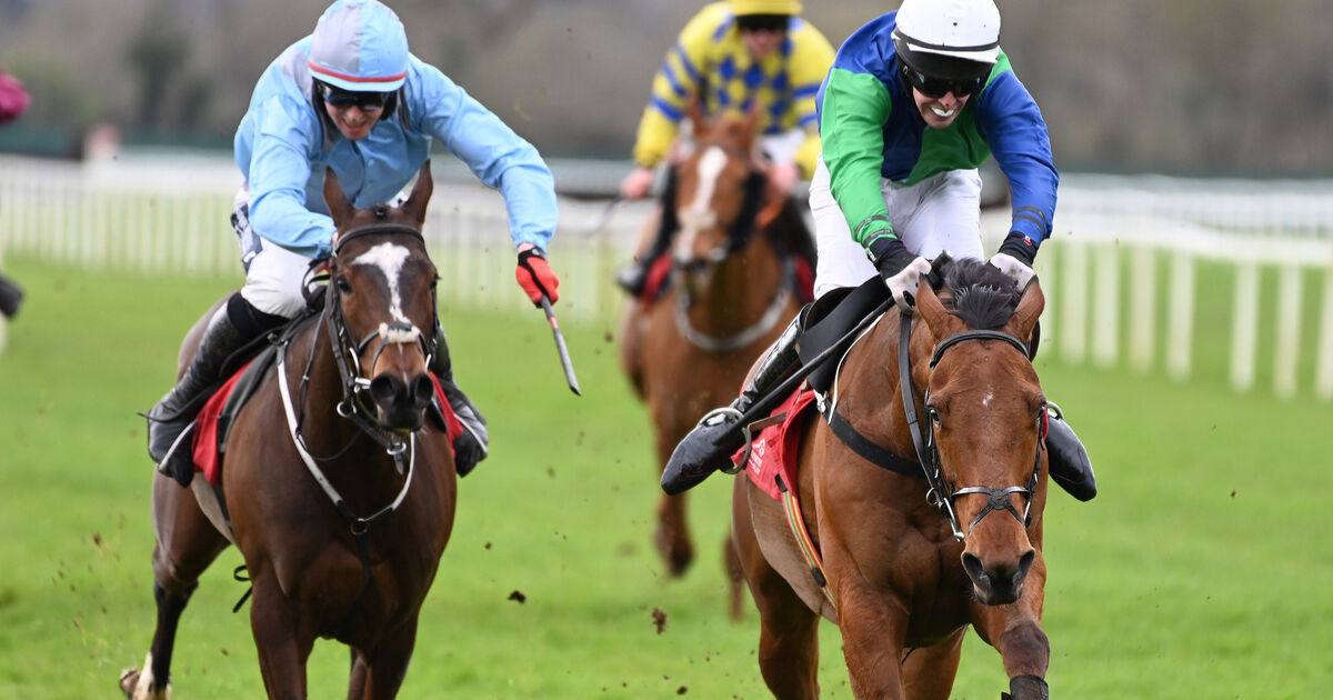 Cork student race day in Mallow was a great success in front of a huge ...