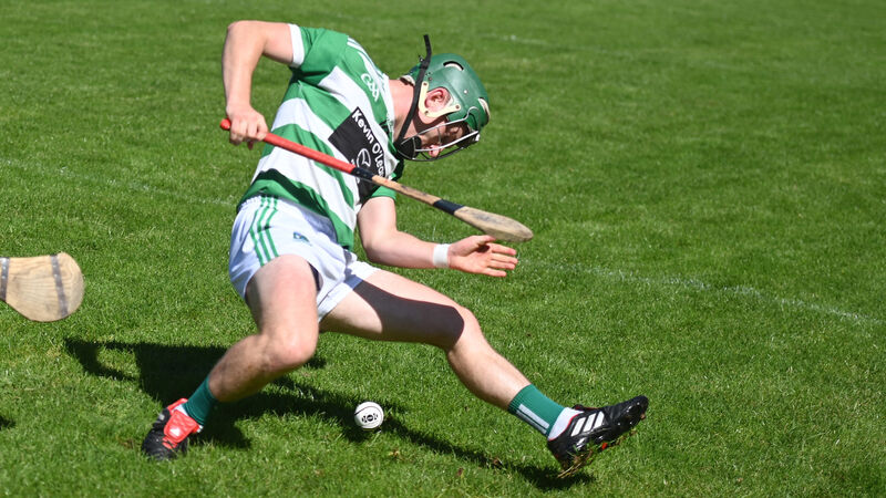 Colm Butler and Adam Kenneally fire Valley Rovers hurlers to victory at ...