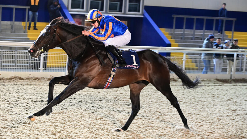 Wayne Lordan back in the winner's enclosure in Dundalk on Tuesday night