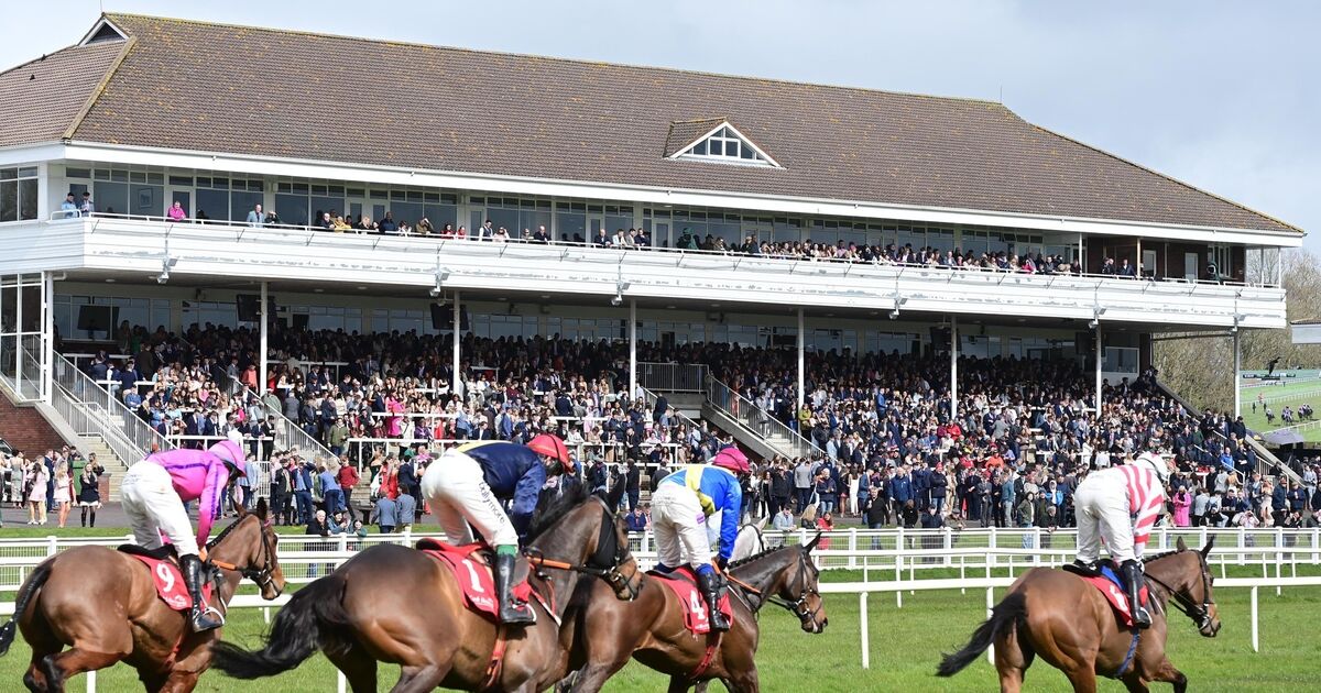 Huge crowd at Cork Racecourse Mallow for Easter Sunday racing
