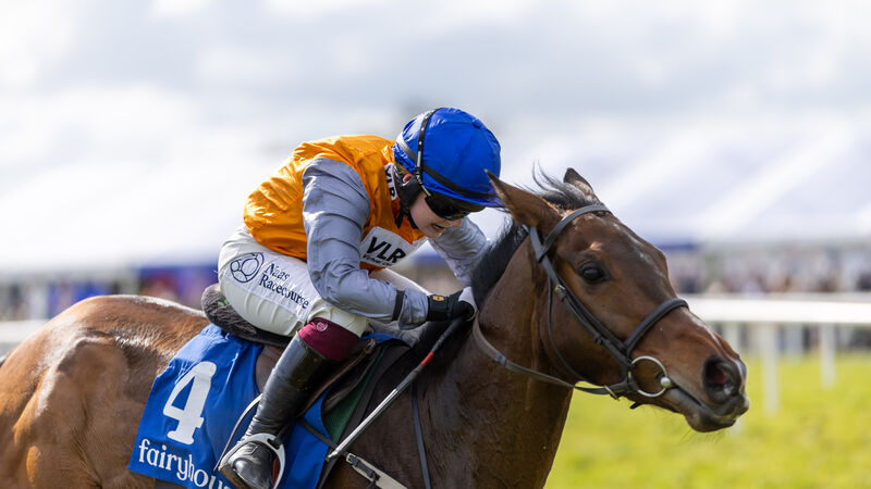 Cork Racing: Success for Jody and Paul Townend and Jimmy Mangan