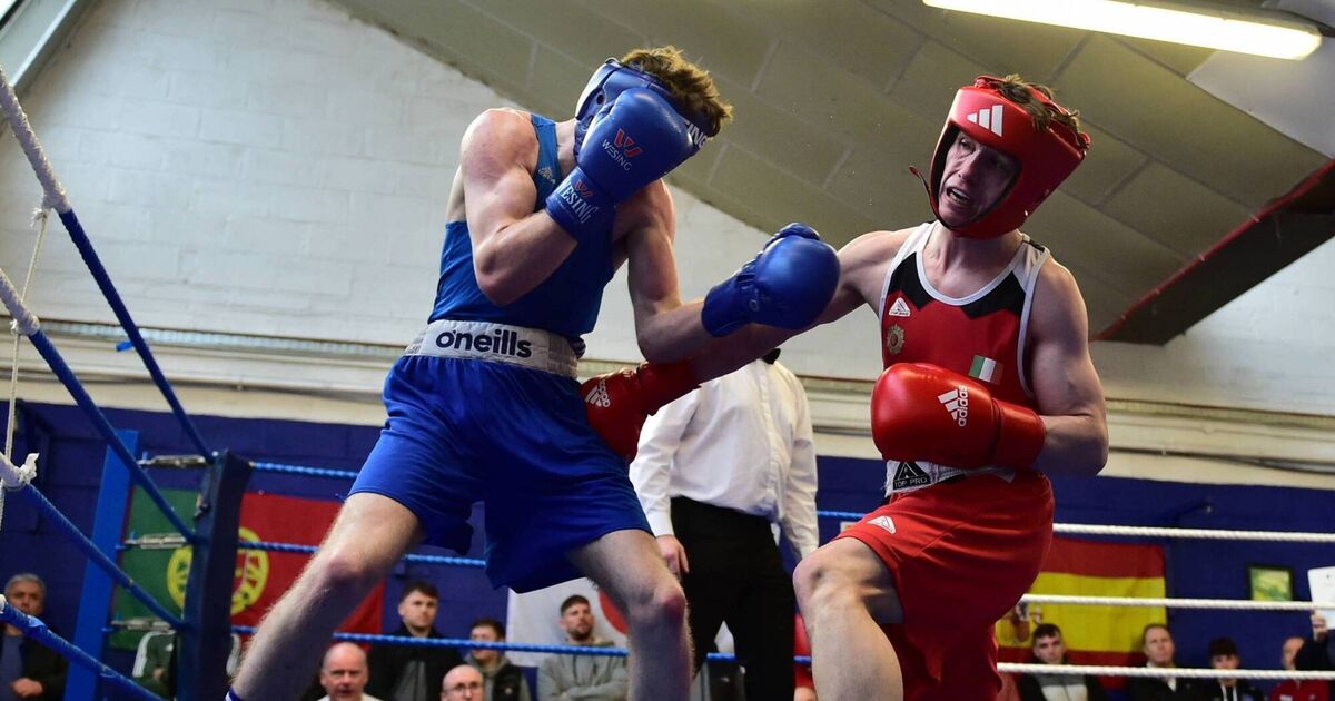 Picture Special: Golden Gloves Boxing Club senior tournament was a huge ...