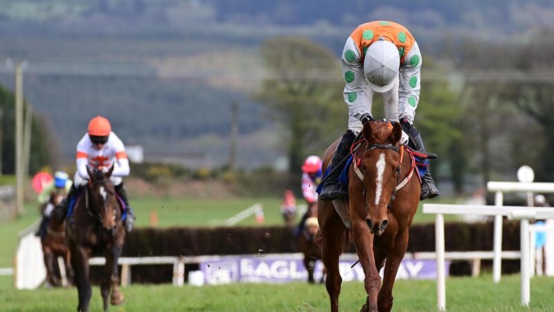 Jockey Adam Feeney completes a double at the Duhallow Foxhounds Point ...