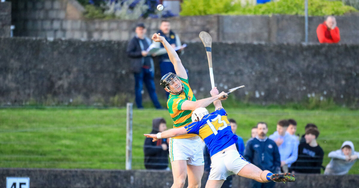 RedFM Hurling League: Rockies rise to share of the lead in Division 1 ...