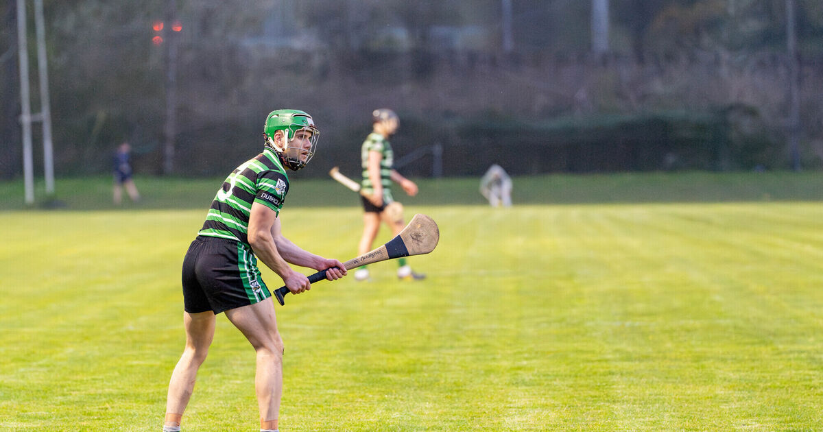 Alan Cadogan on form as Douglas hurlers power to league victory against ...