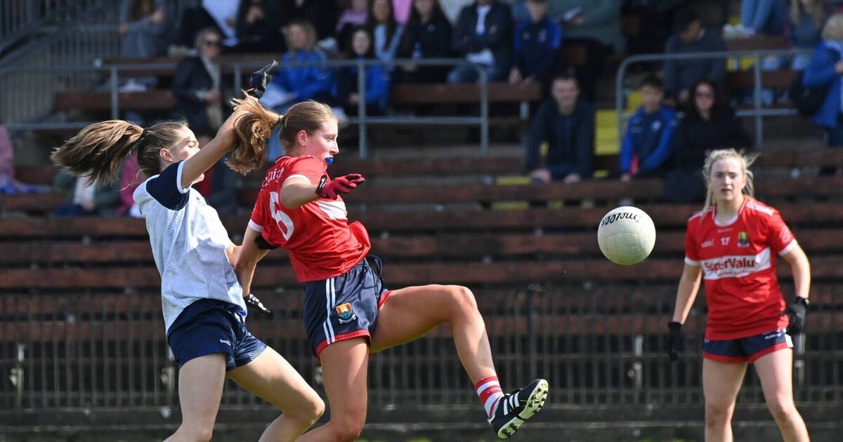 Shane Ronayne hails 'phenomenal effort' of Cork players in defeating Déise