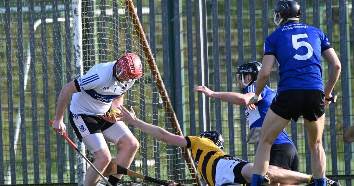 Liam Healy hat-trick fires Sarsfields past Na Piarsaigh to top of ...