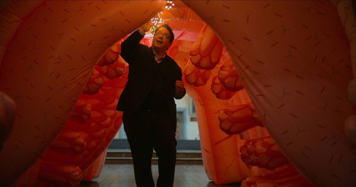 UCC professor sharing his expertise in new Netflix documentary about ...