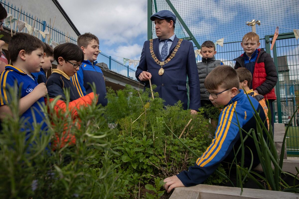 Pictures: Lord Mayor visits Cork primary students participating in Grow ...