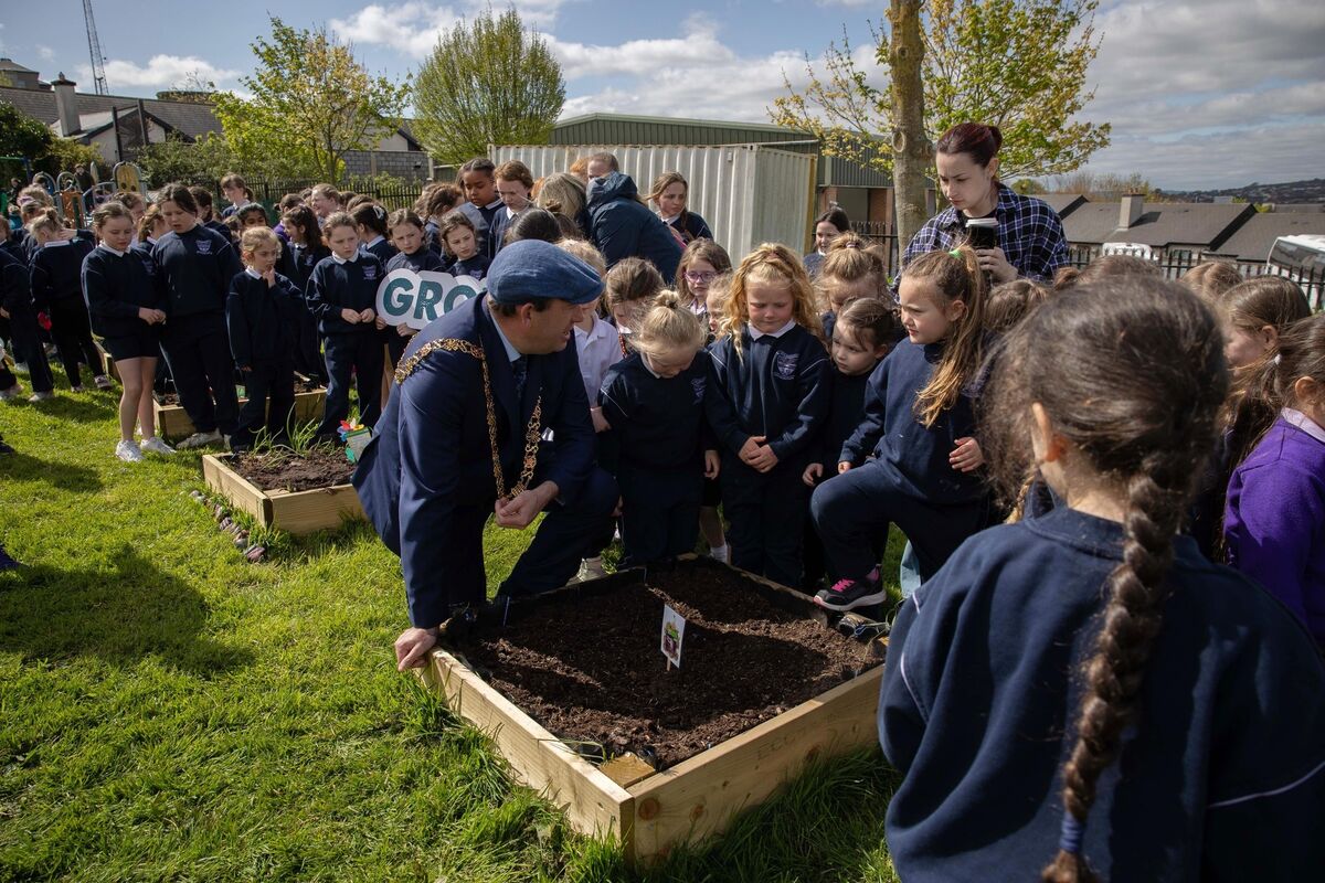 Pictures: Lord Mayor visits Cork primary students participating in Grow ...