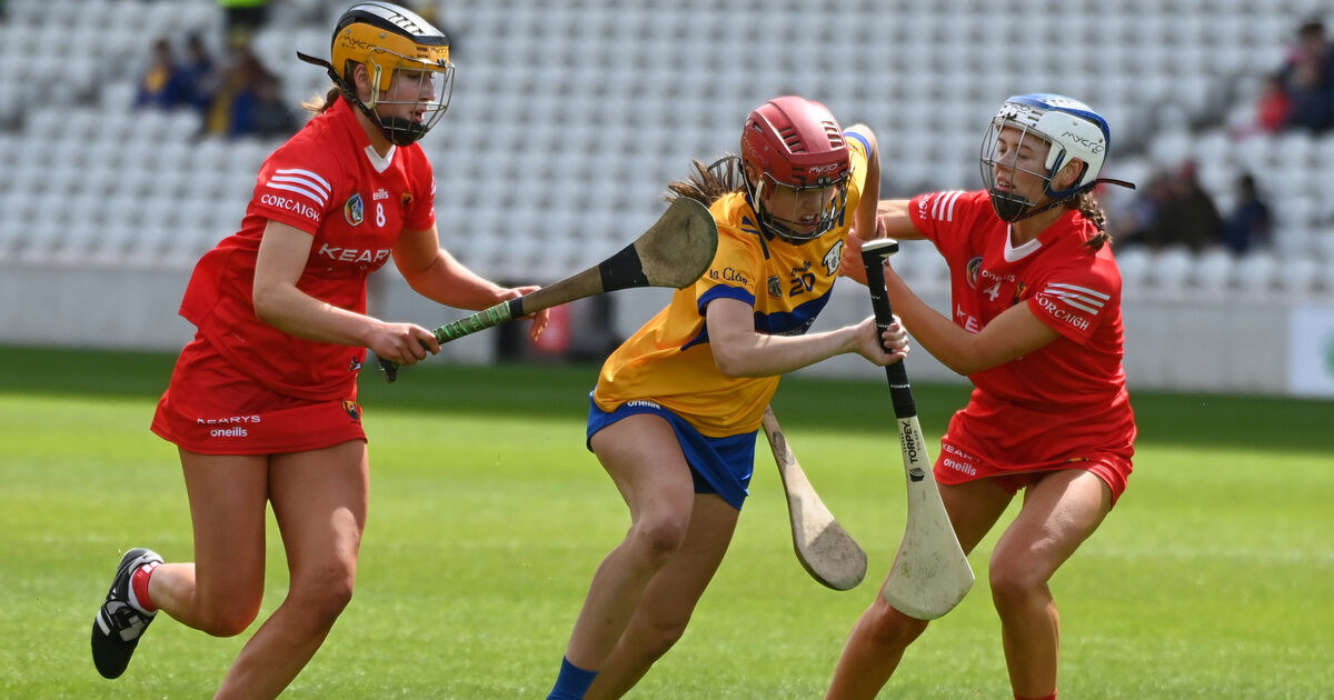 Cork coach Ger Manley: We were a bit rusty but we got the job done ...
