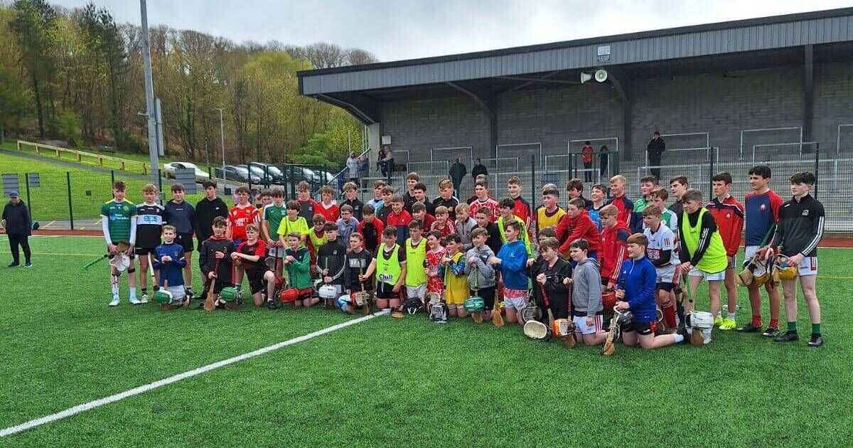 New project launched in Duhallow to improve hurling