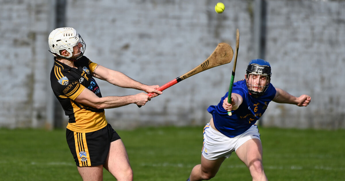 Hurling League: Adam Creed goal sees Fermoy beat Newtown