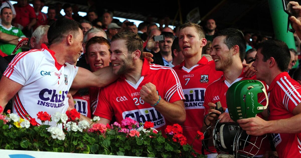 Cork v Limerick in the Páirc - the good and the bad