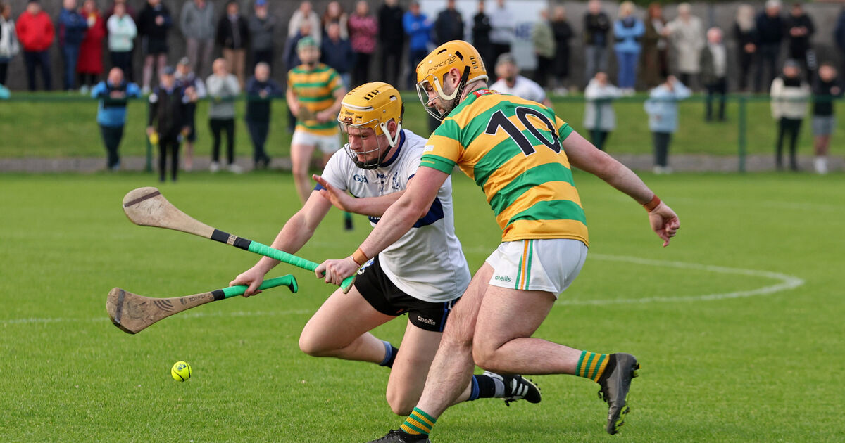 Despite a four goal haul from Sars Shane O'Regan, the Rockies fight ...