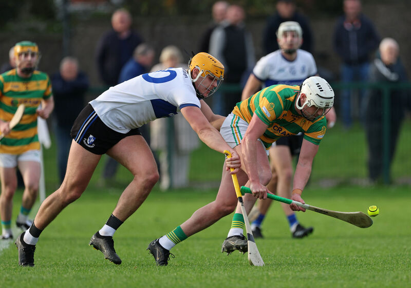 Despite a four goal haul from Sars Shane O'Regan, the Rockies fight ...