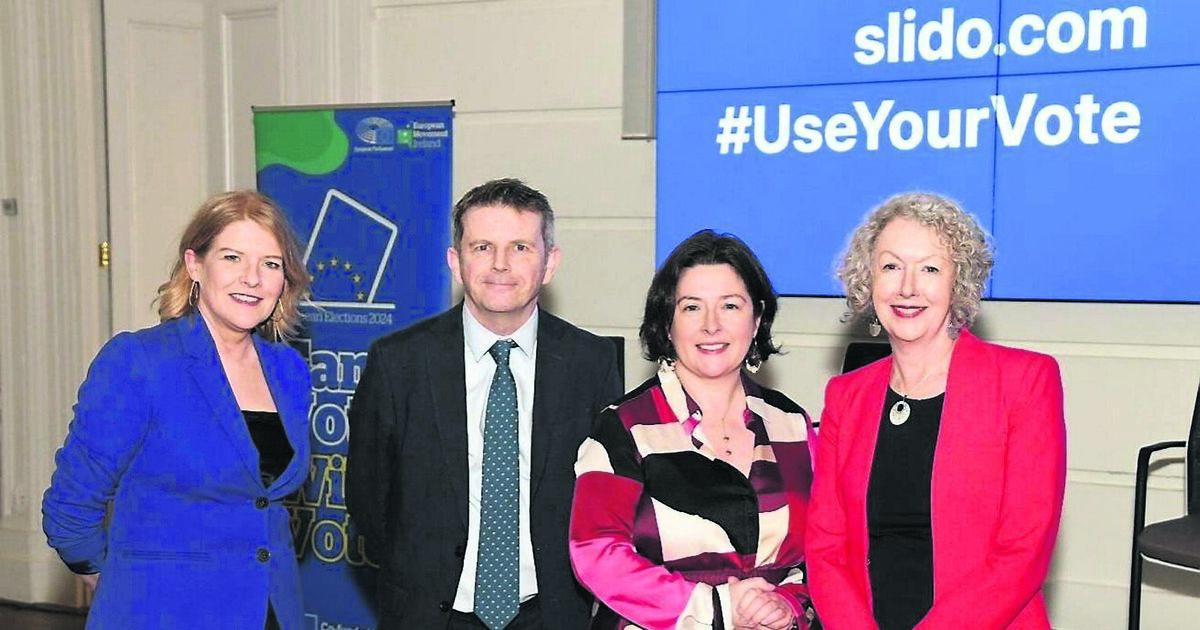European elections: Ireland South candidates set out their platform at ...