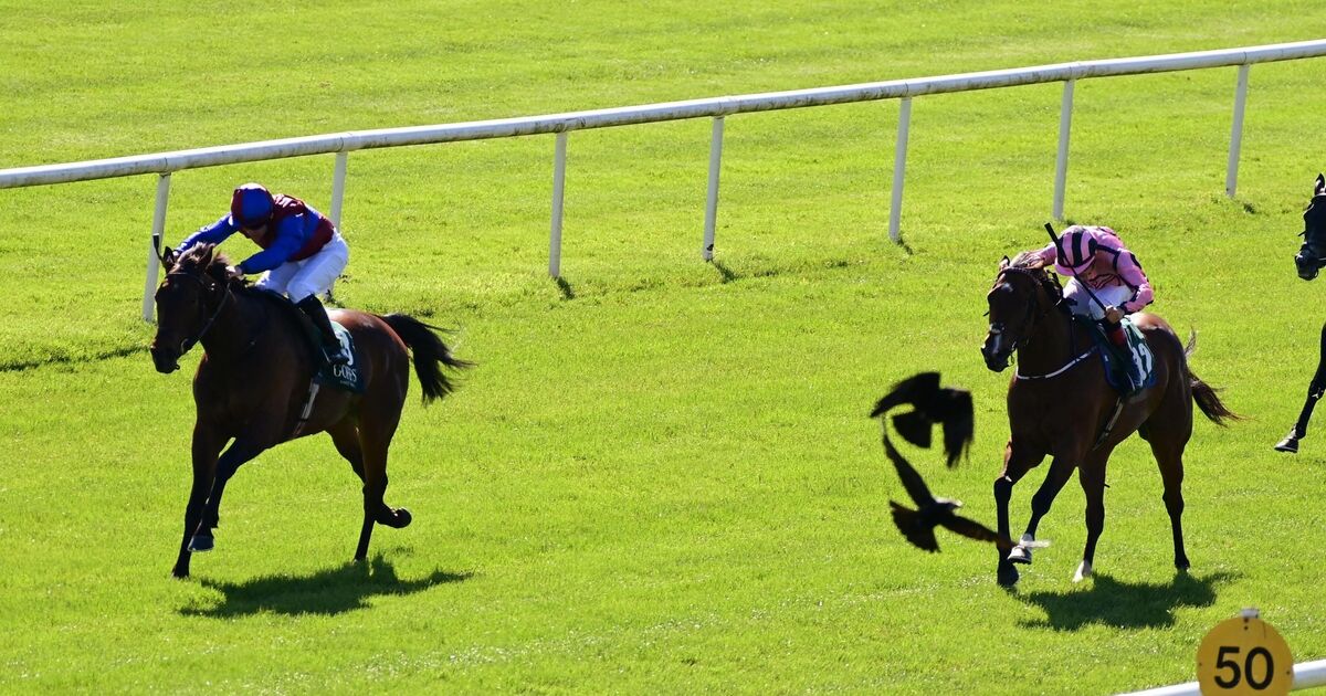 Cork Racing: Wayne Lordan scores big win on home turf