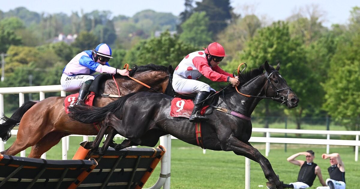Cork Racing: 50-1 winner for Cork jockey Philip Enright