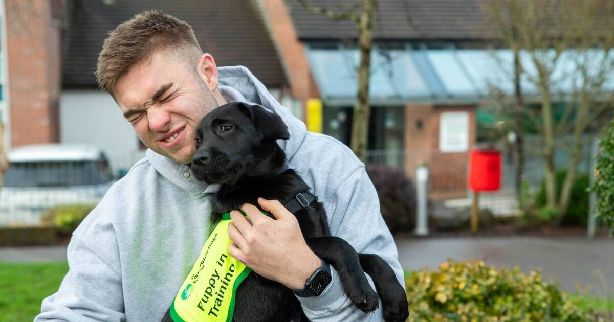 Number of walks taking place in Cork next week to mark Guide Dog Day