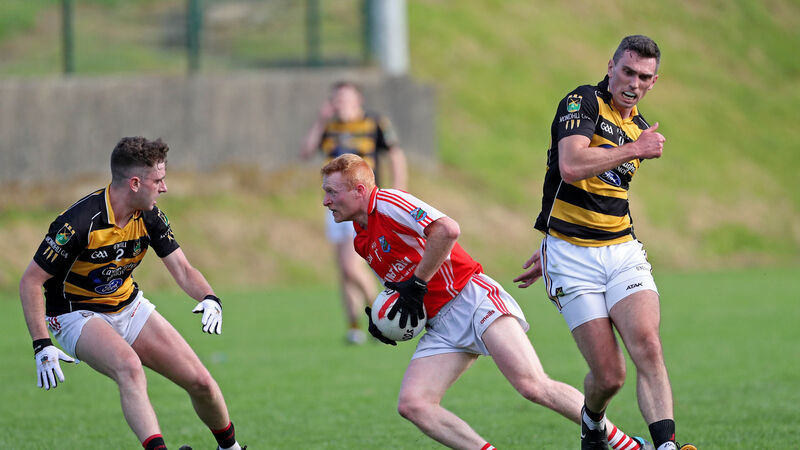 Beara withdraw from the Cork Premier SFC