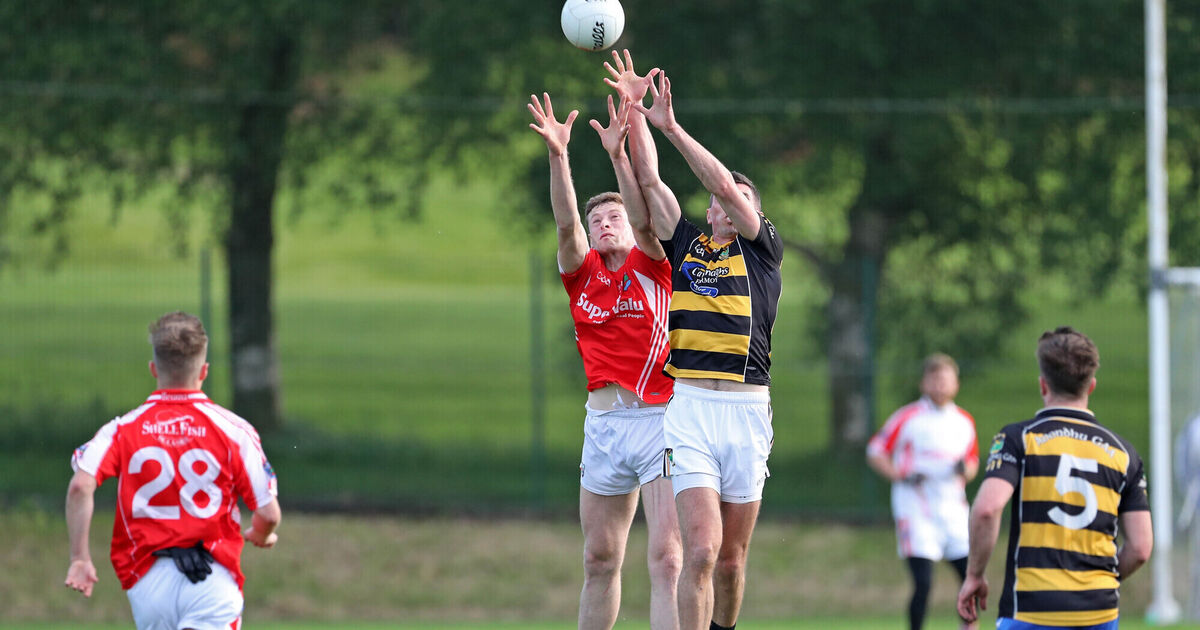'Will there be a Beara team in the Premier Senior Football Championship ...