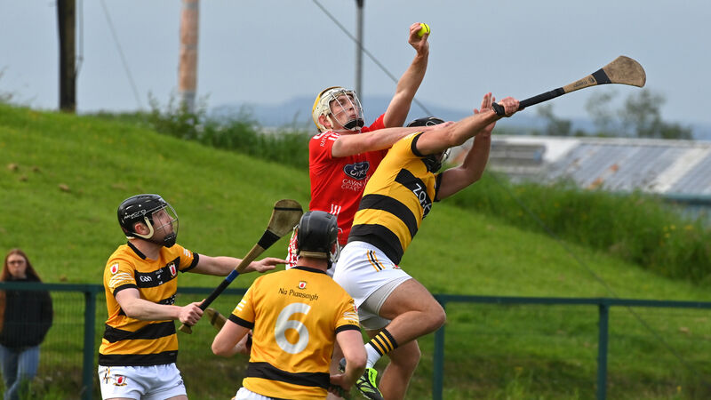 RedFM Division 1 Hurling League: Charleville hit Na Piarsaigh for four ...