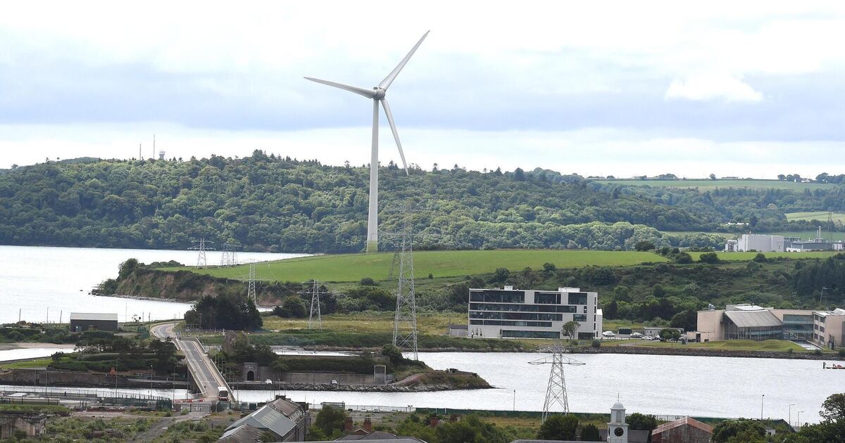 Company behind proposal to build Ringaskiddy incinerator welcomes ...